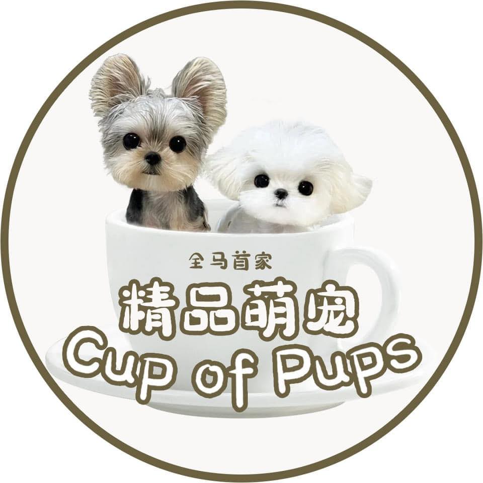 CUP-OF-PUPS-ENTERPRISE – ezbeli