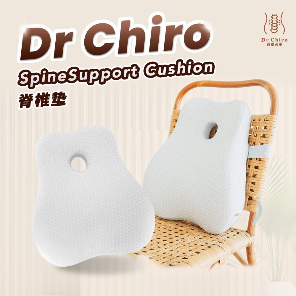Drchiro Spine Cushion – ezbeli